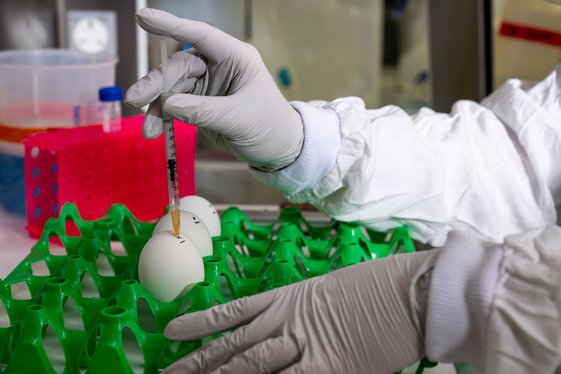 Education programme | The Pirbright Institute