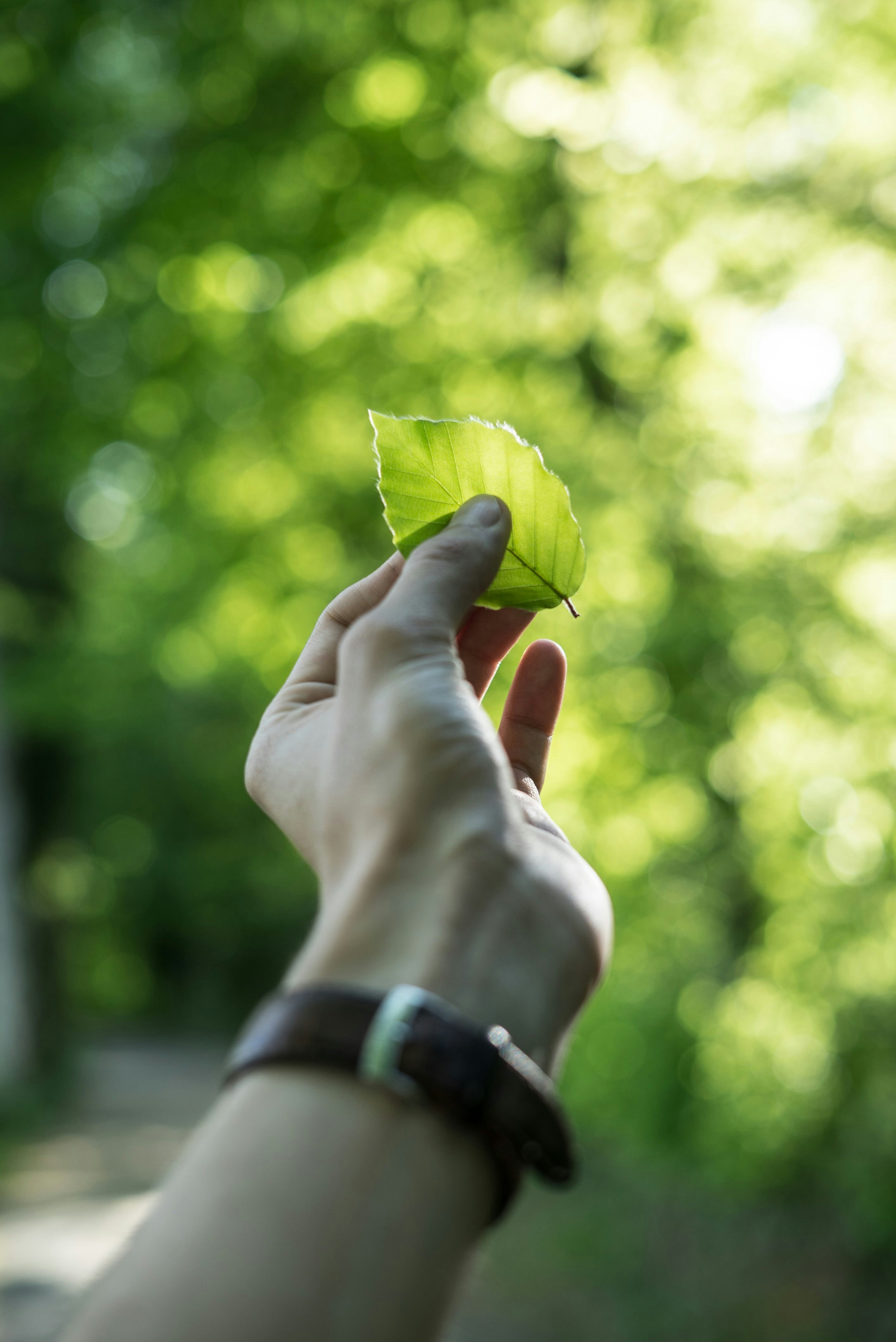 Turning over a new LEAF: Supporting more sustainable labs at Pirbright ...