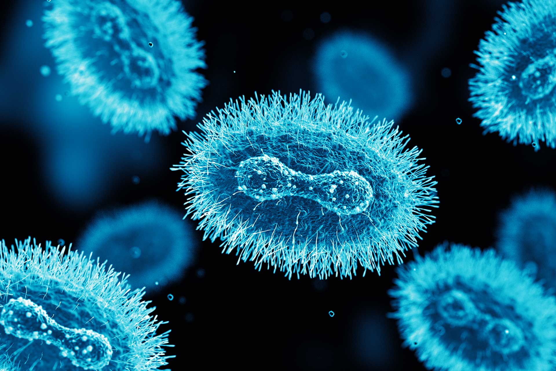 Pirbright collaboration uncovers licensed drugs as potential treatments ...