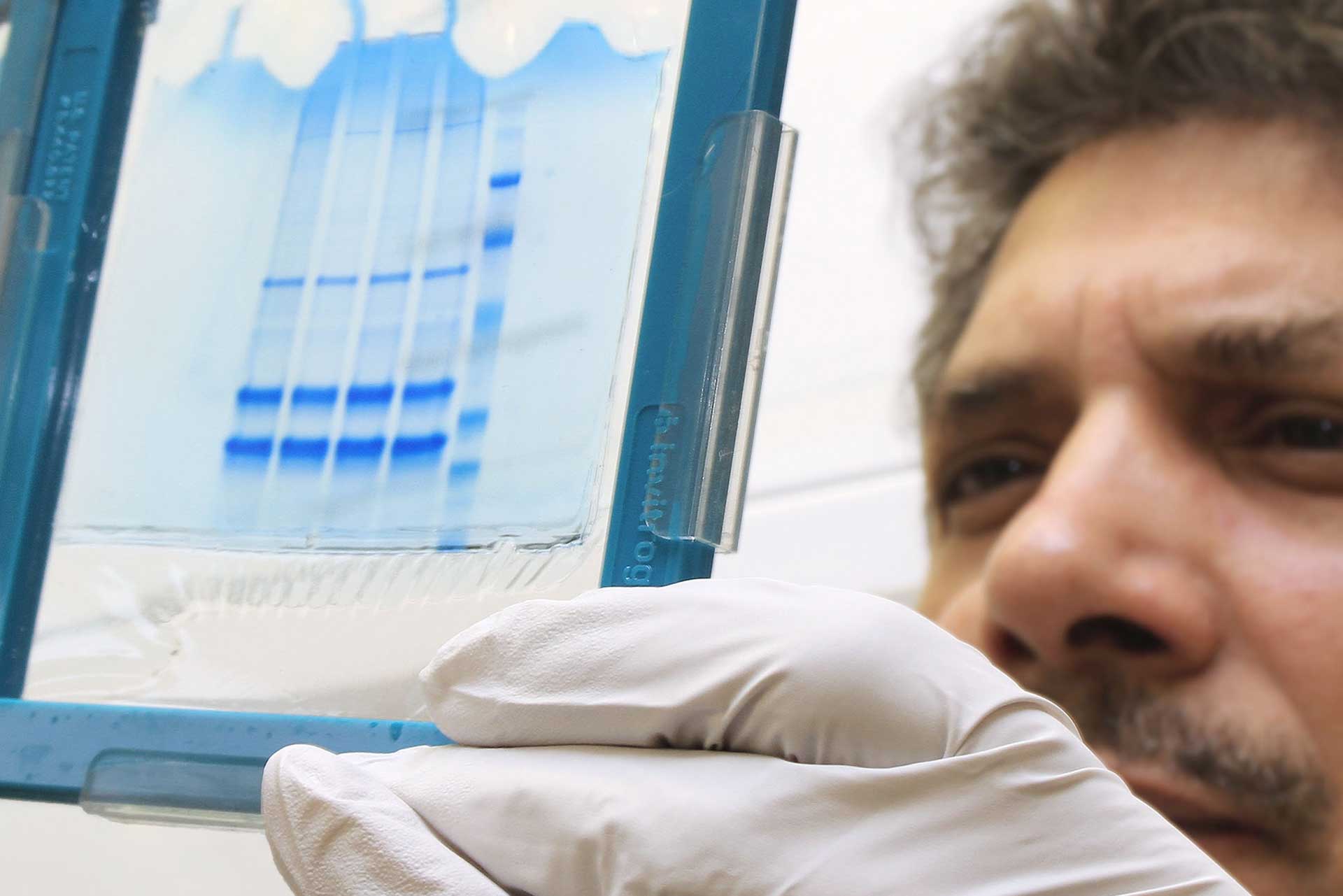 Why vaccines matter in the fight against zoonotic diseases | News | The ...