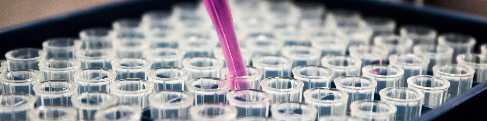 Veterinary vaccine development process: eLearning | The Pirbright Institute