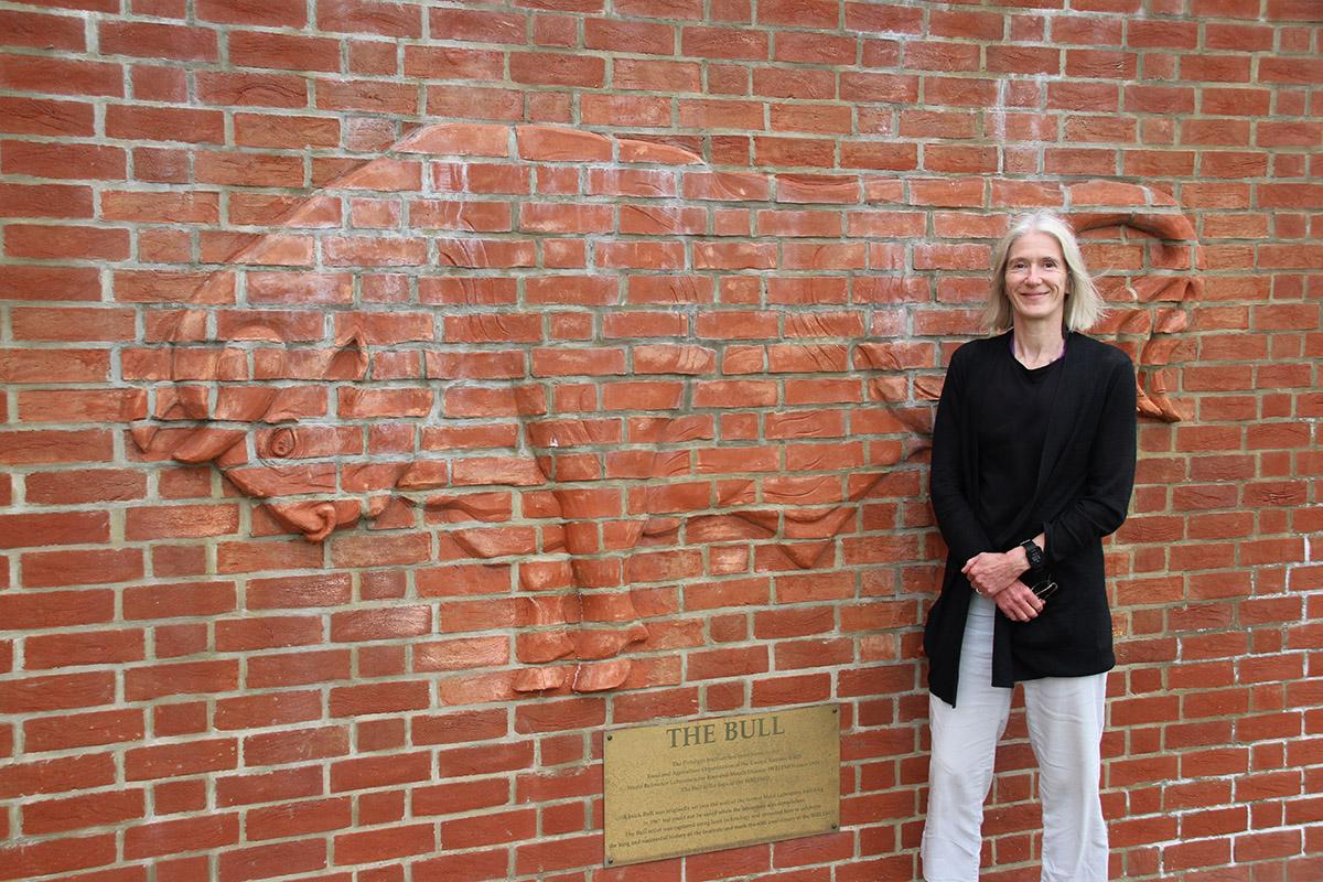 Dr Sue Baigent | The Pirbright Institute