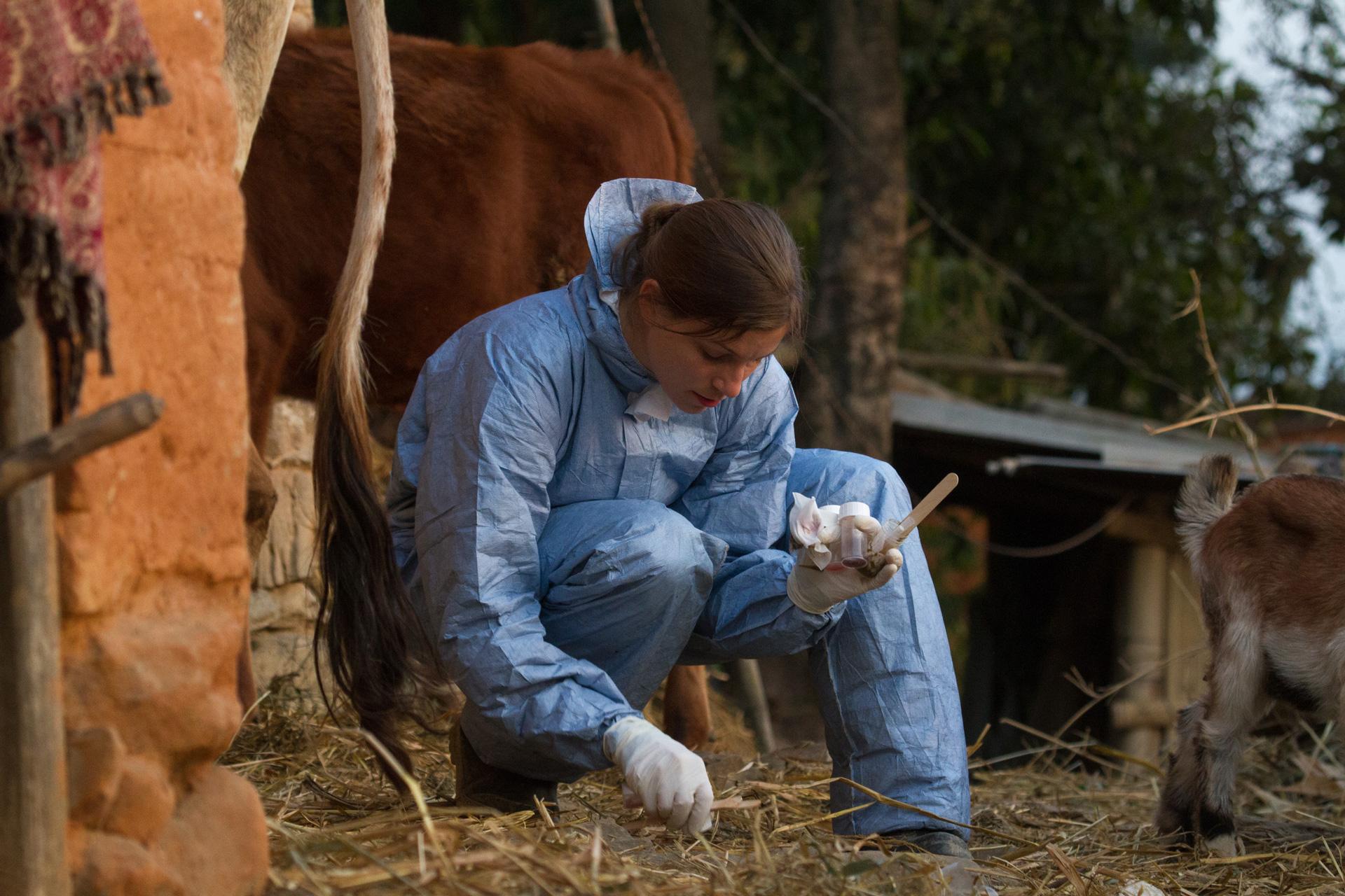 Dr Simon Gubbins | The Pirbright Institute