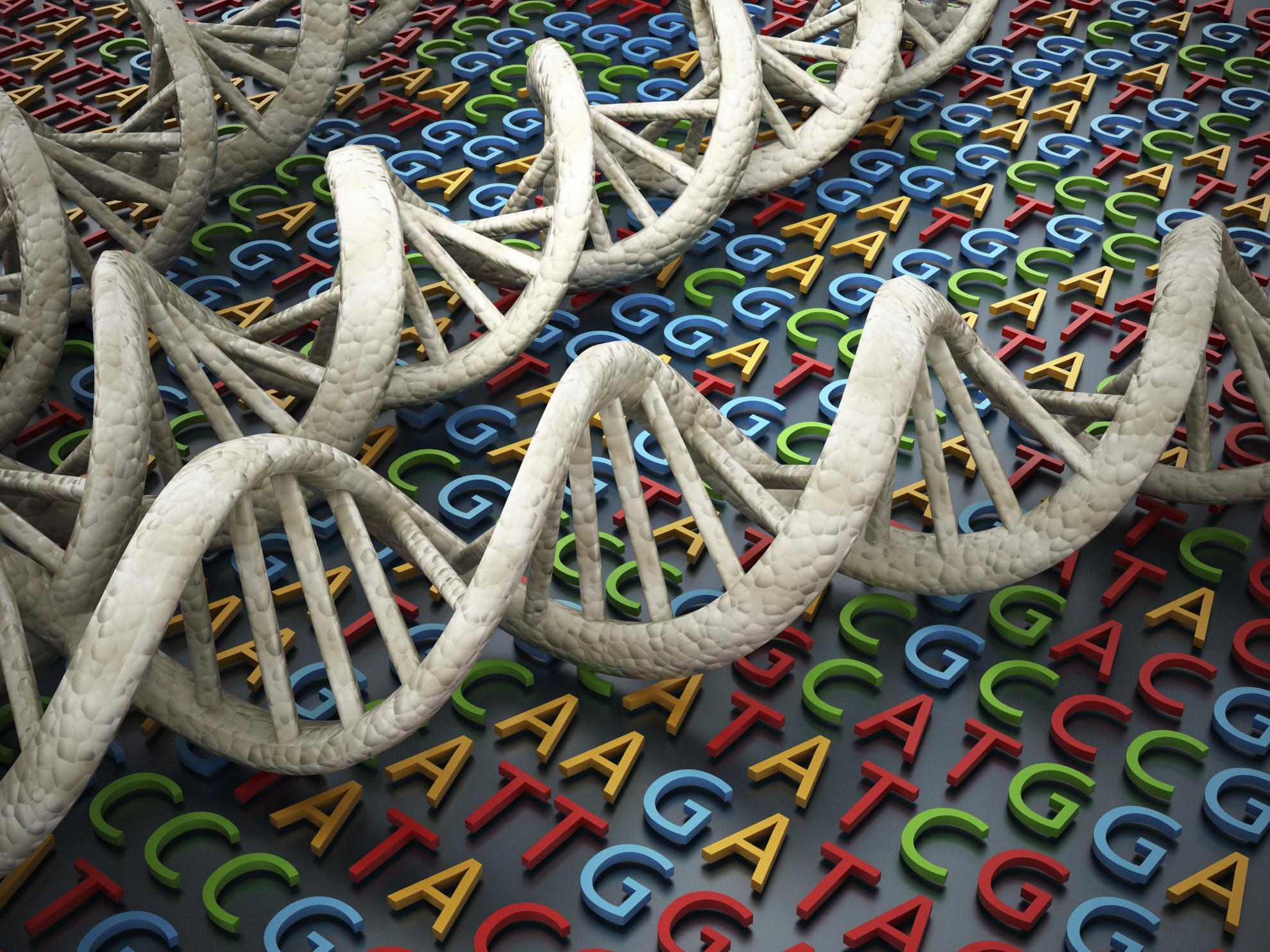 Genome sequence of the olive tree, Olea europaea | Publication | The ...
