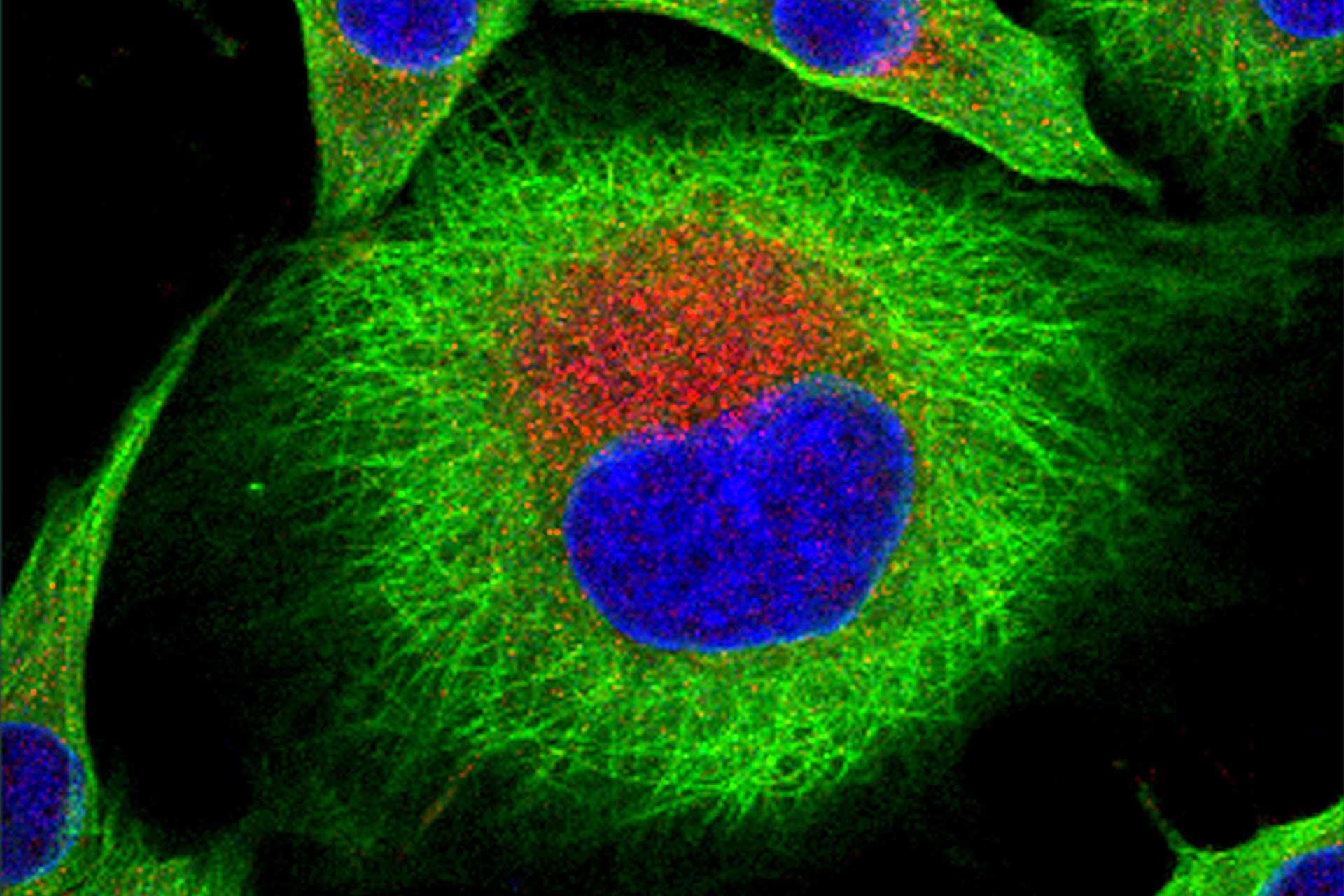 Train with Pirbright | The Pirbright Institute